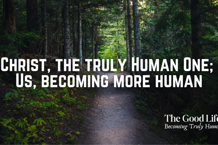 John Archives - St Paul's Caulfield North